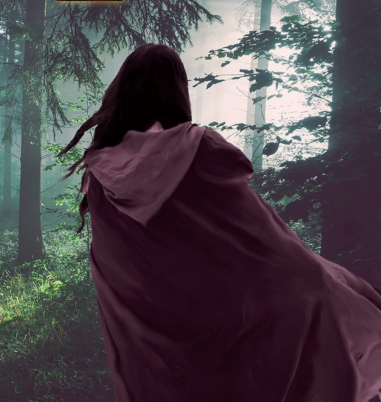 Review: Emilie – Susie Helme