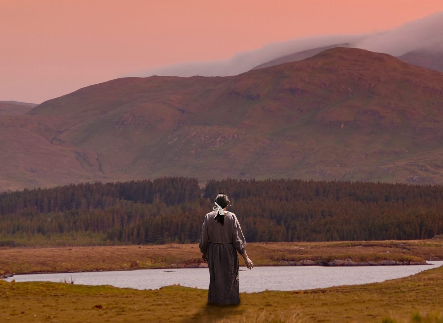 Review: The Priest’s Wife – Susie Helme