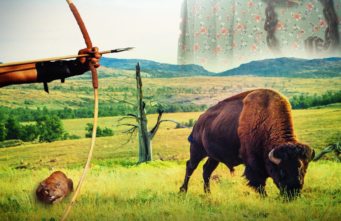 Review: Standing Against the Wind – Susie Helme