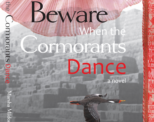 Review: Beware When the Cormorants Dance – Susie Helme